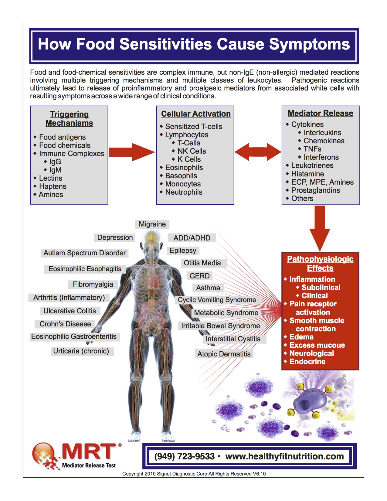 How Food Sensitivities Cause Symptoms ‹ Healthy Fit Nutrition ...